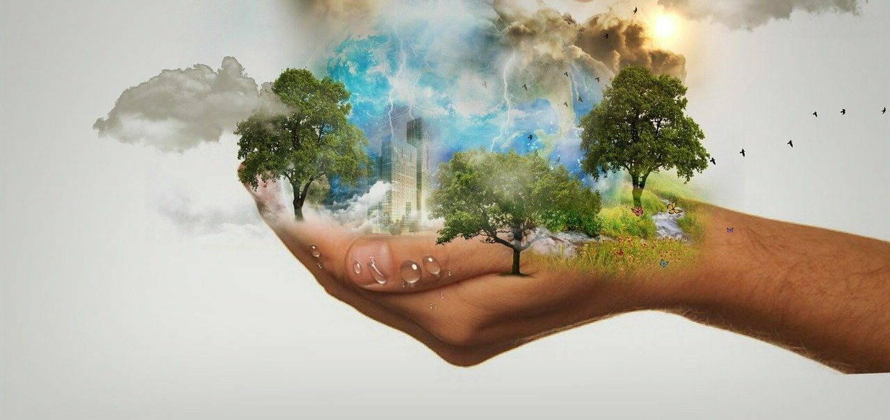 3 Barriers to Implementing Sustainable Practices