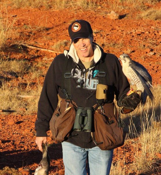 What is Traditional Falconry