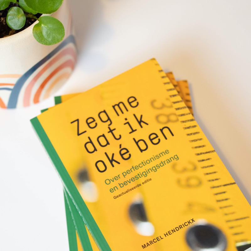 wat zeggen anderen – Ans Vercammen