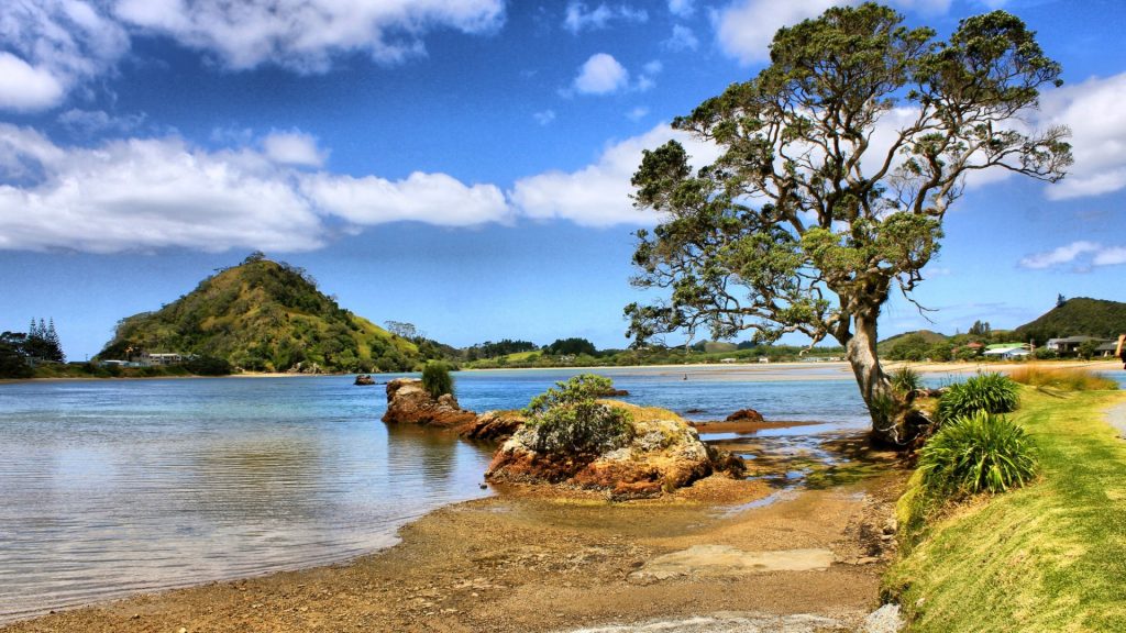 African biome: map of the biomes of the African continent ...