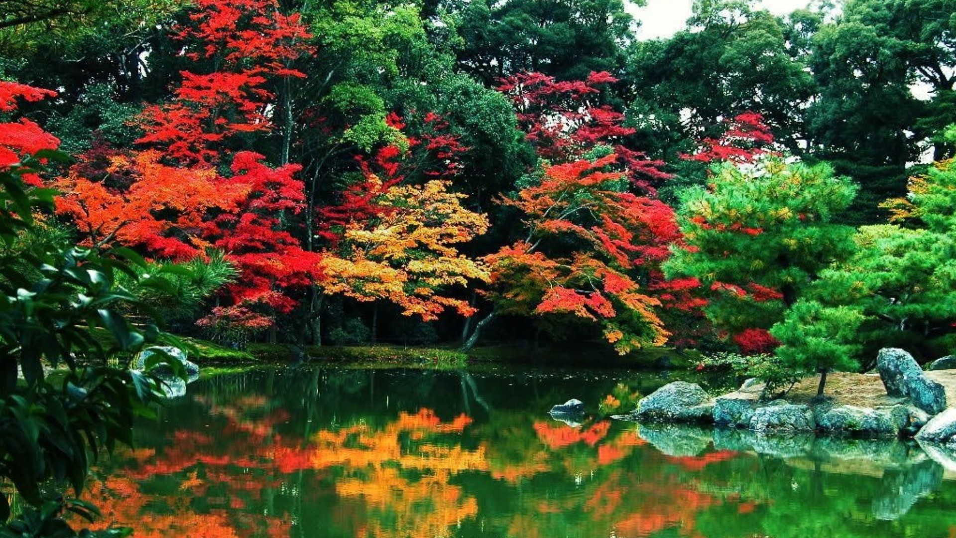 Bioma Terrestre: caratterizzazione, ecoregioni, vegetazione ...