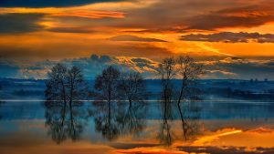 Biome of Asia: ecoregions and vegetation of the Asian continent