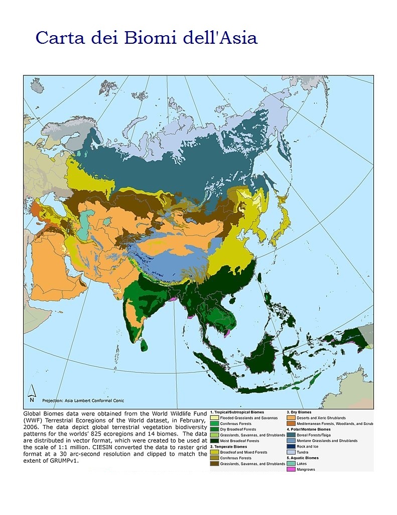 Biome of Asia: ecoregions and vegetation of the Asian continent