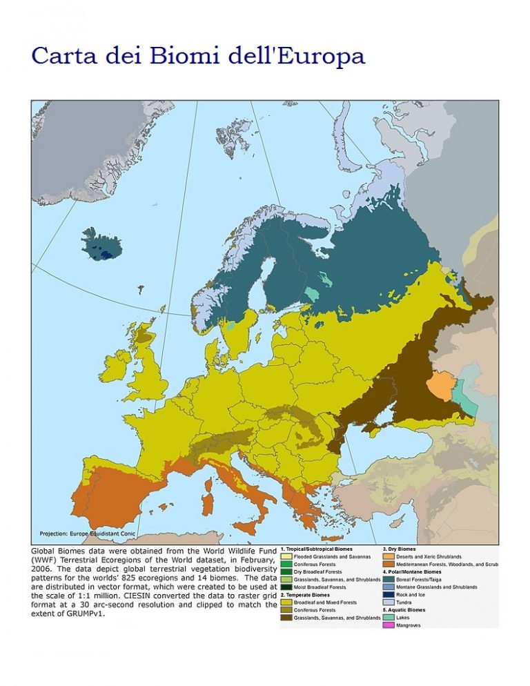 Biome of Europe: characteristics, differences, geographical areas ...