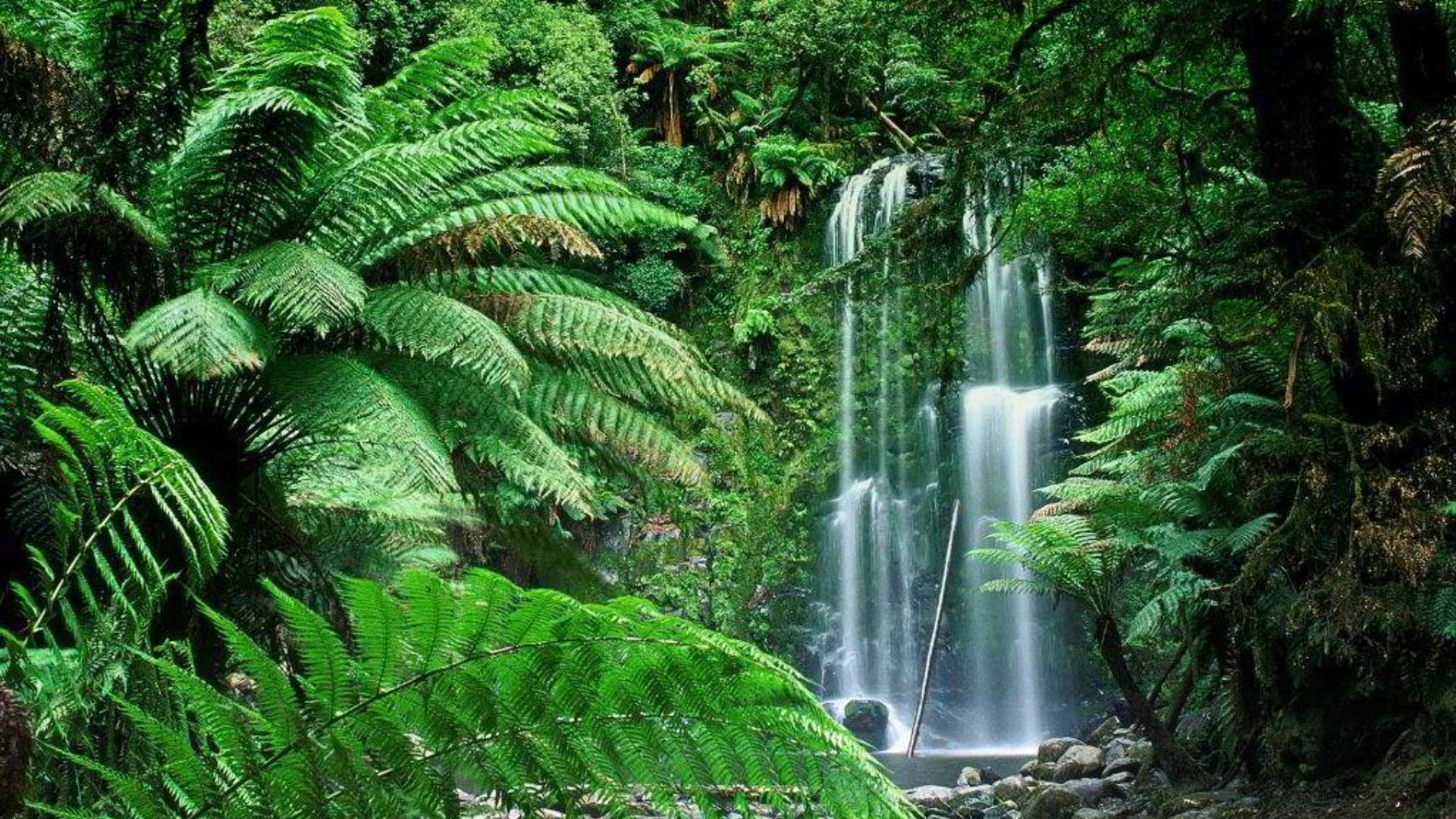 Ecosophy: Meaning and explanation of the concept of Ecosophy ...