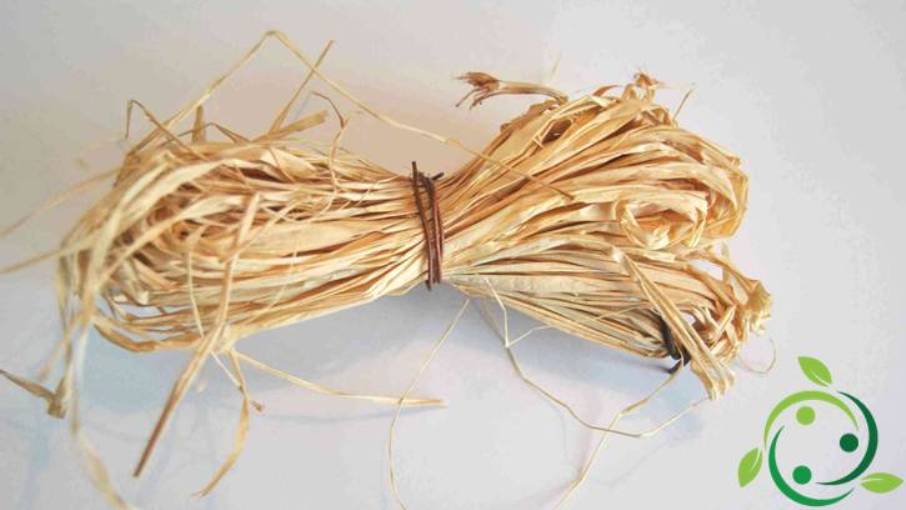 Raffia and its uses: how to distinguish the natural one from that