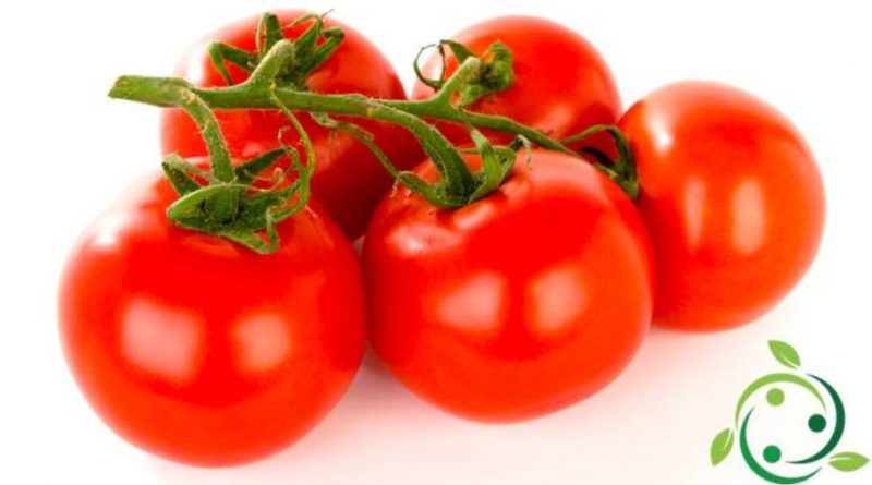 Lycopene: presence in nature, benefits and warnings in use