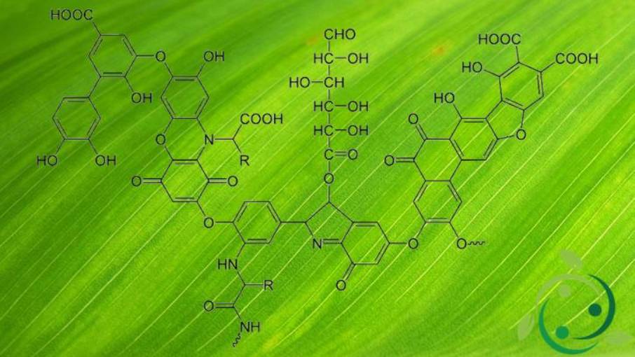 Humic acid: definition, function and role in soil and plants