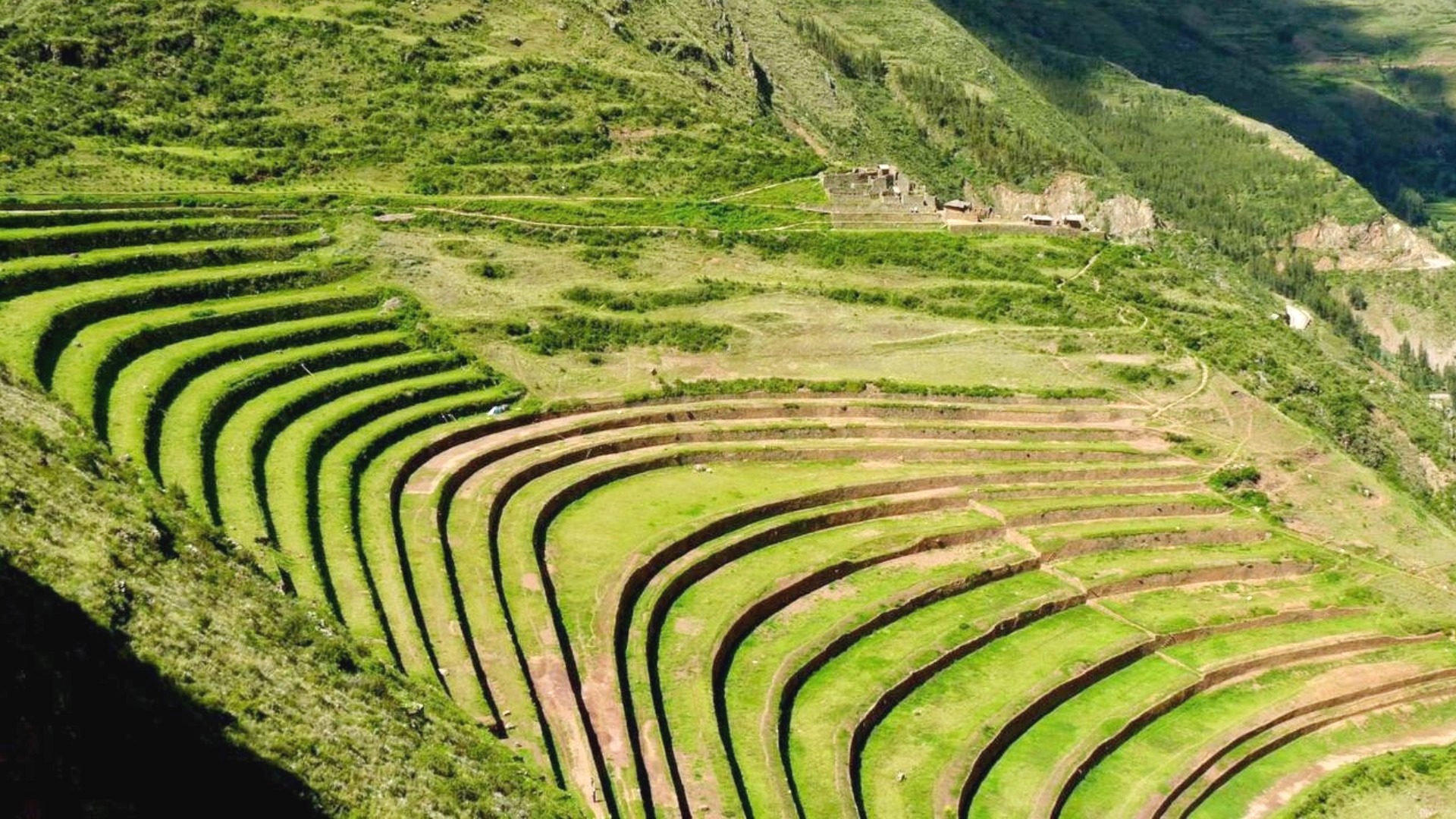 Aztecs and agriculture: history of a great agricultural civilization ...