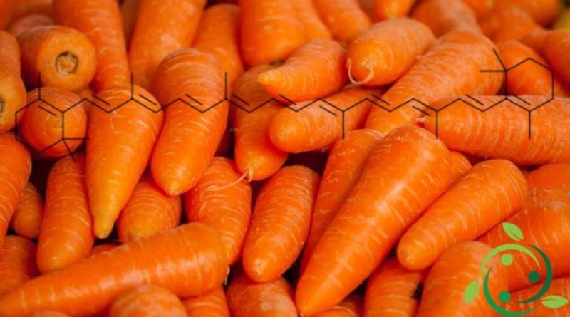 Carotene: molecule, presence in nature and food importance