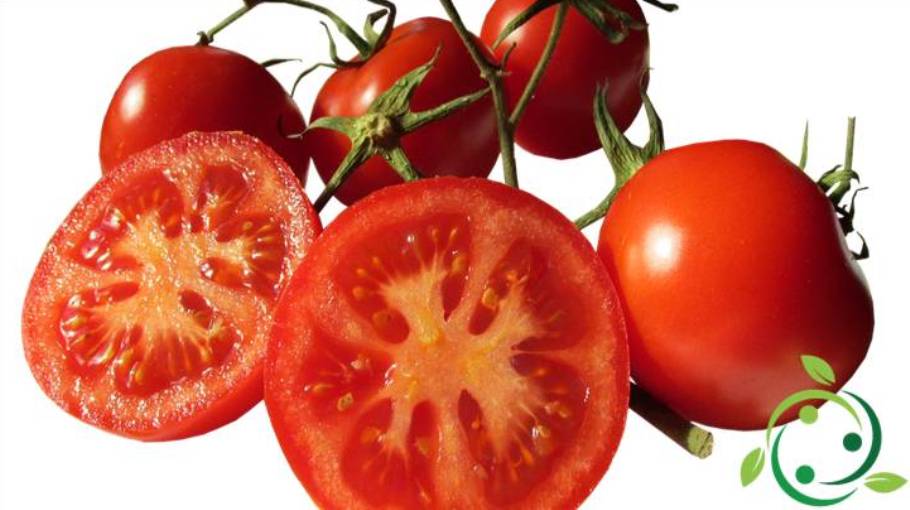 Berry: formation, morphology and distinction with false berries ...