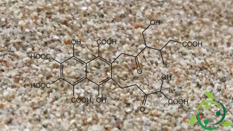 Fulvic acid: characteristics, functions and role in soils and health