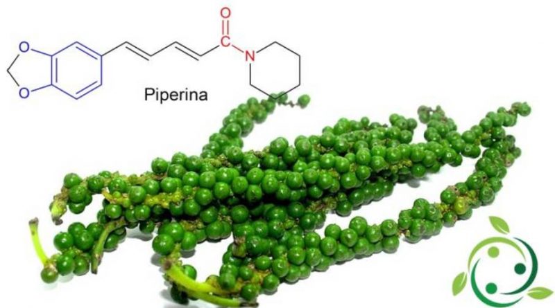 Piperina: ocurrencia en la naturaleza y terapéutica y nutricional ...