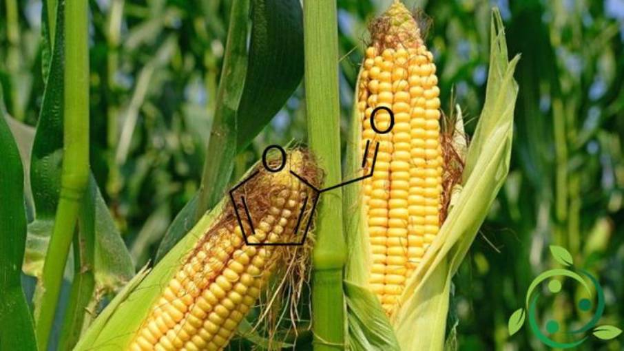 Furfural: occurrence in nature, extraction, uses and applications ...