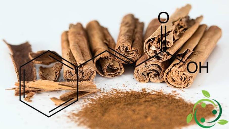 Cinnamic acid: occurrence in nature, synthesis, properties and uses