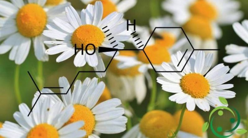 Bisabolol: occurrence in nature, properties, indications, uses ...
