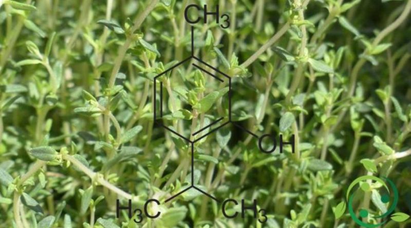 Timol: ocurrencia en la naturaleza, propiedades, mecanismo de