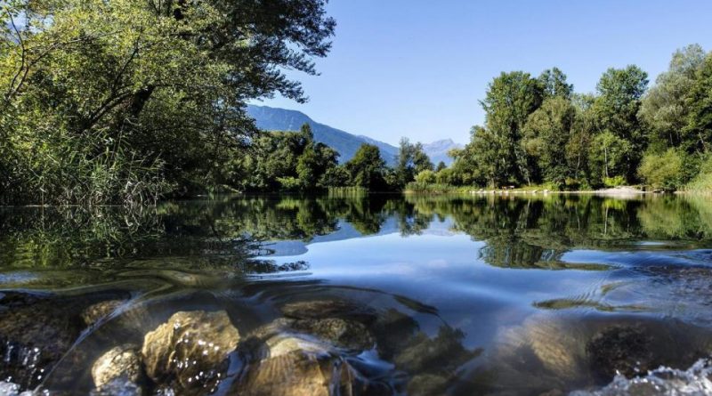 Biotope: definition, characteristics, typologies, distinctions ...