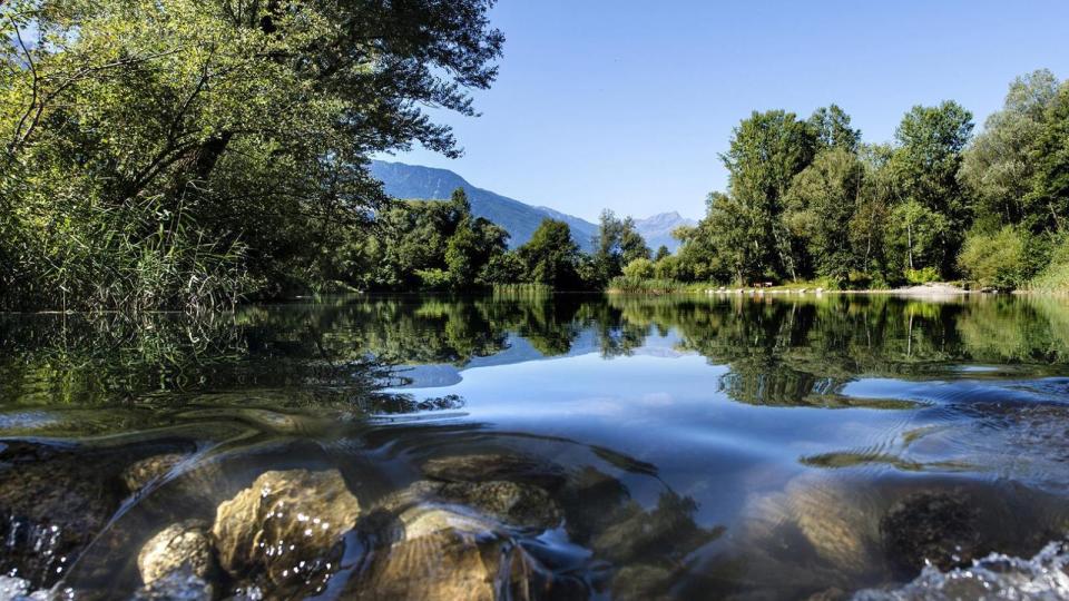 Biotope: definition, characteristics, typologies, distinctions ...