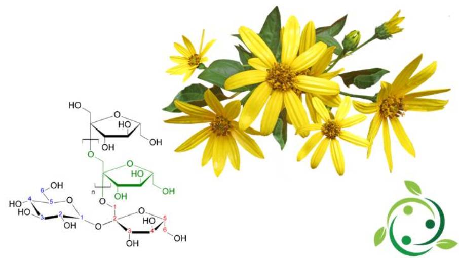 Inulin: occurrence in nature, properties, uses, contraindications ...