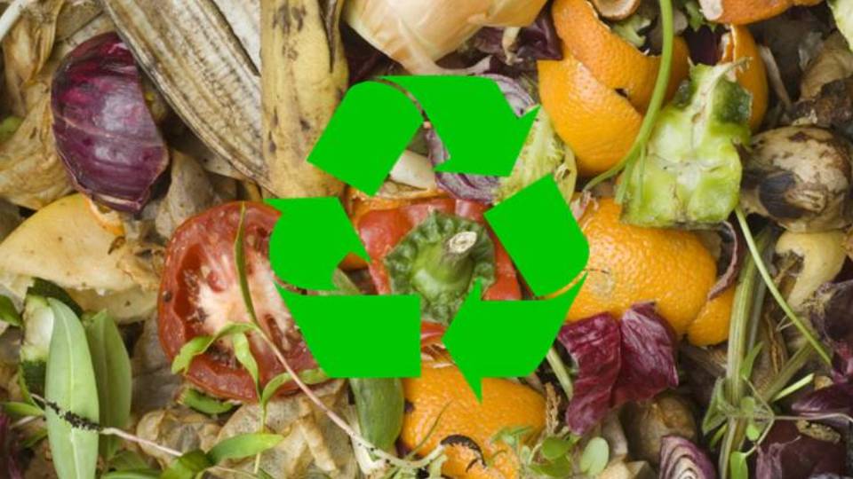 Biodegradation: definition, processes, sustainability, ecology ...