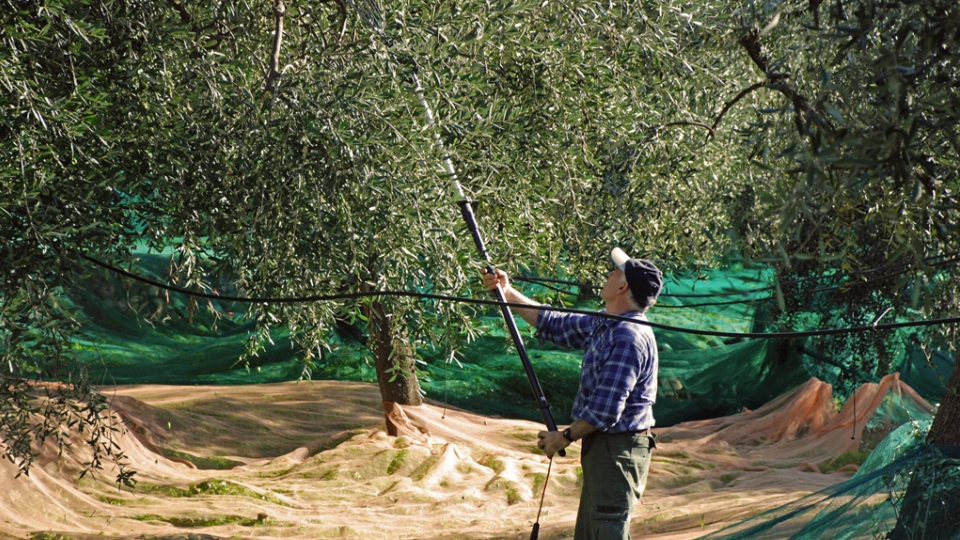 Beating: definition, meaning, technique, methods ...