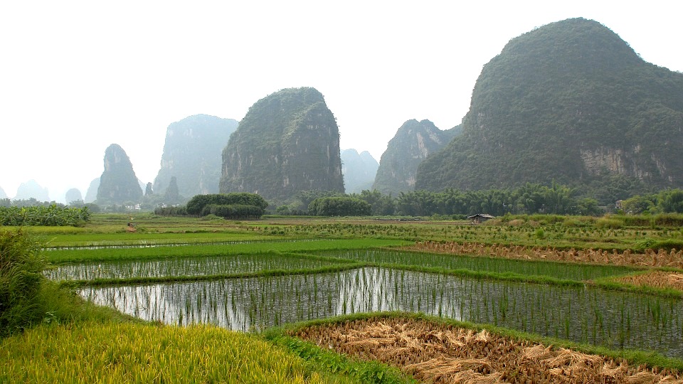 Agriculture in ancient China – part IX: The tanning of seeds, the ...