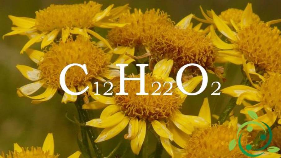 Arnicin Chemical Formula Occurrence In Nature Properties Uses