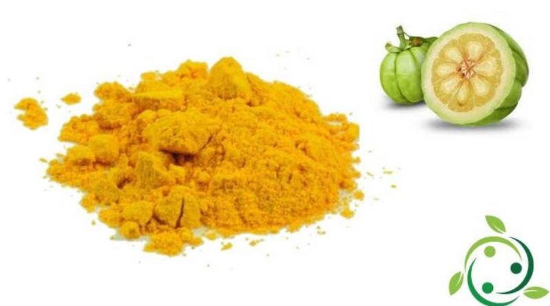 Gommagutta: estrazione in natura, composizione, utilizzi ...