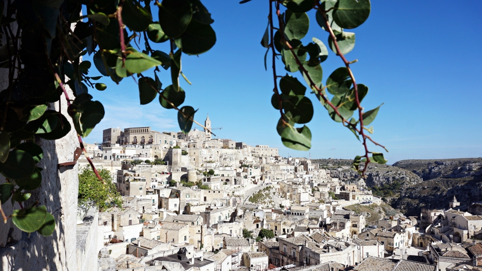 Charter of Matera: the CONAF document towards Agenda 2030