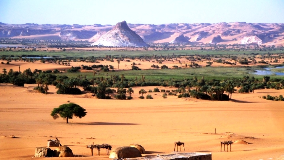 Geographical Map of Chad: territory, landscape, flora, fauna ...