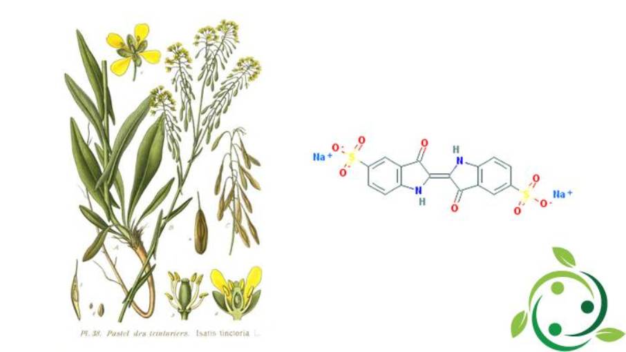 Indigotine: formula, properties, uses, occurrence in nature ...