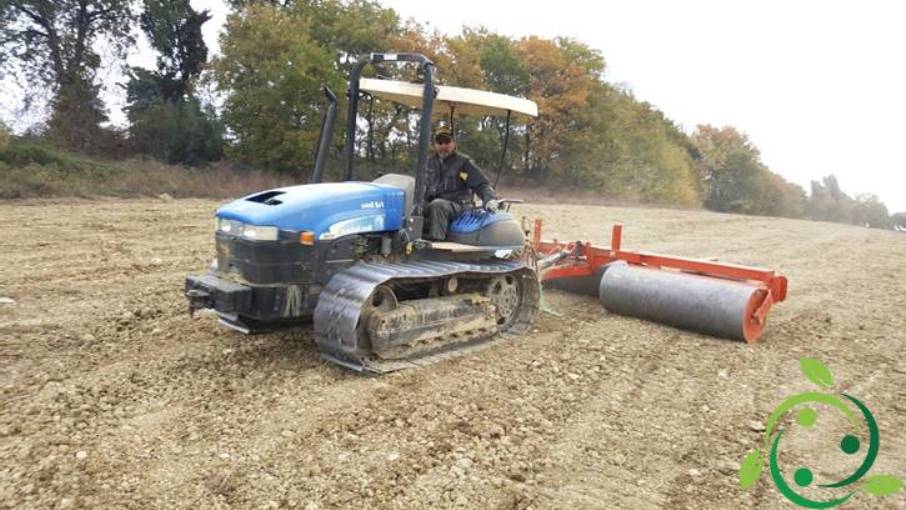 Rolling: definition, tools used, agronomic purposes ...