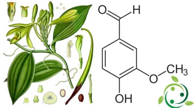 (Italiano) Vanillina: formula chimica, proprietà, presenza in natura ...