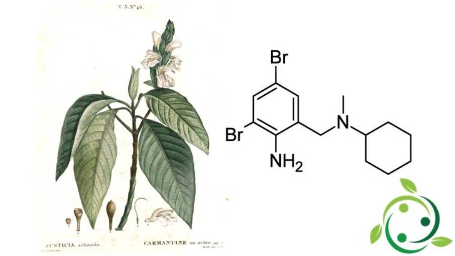 Bromhexina: fórmula química, propiedades, origen natural...