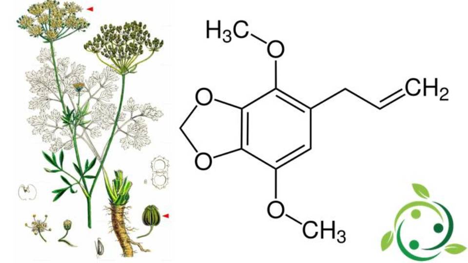 Apiol: chemical formula, occurrence in nature, abortifacient ...
