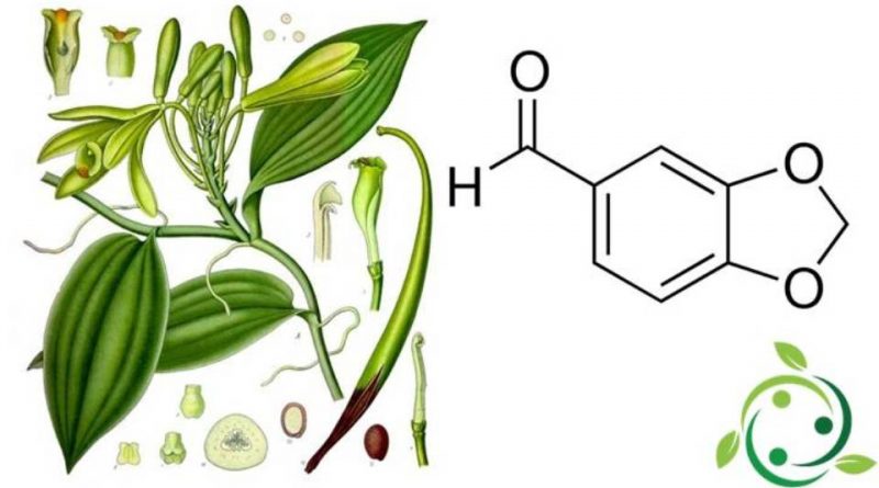 Piperonal: formula, occurrence in nature, uses, amphetamines ...