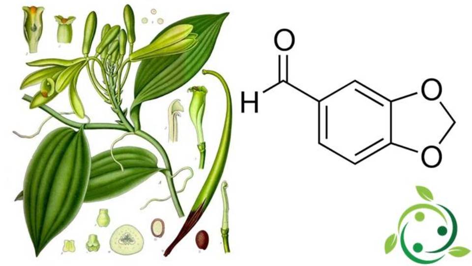 Piperonal: formula, occurrence in nature, uses, amphetamines ...
