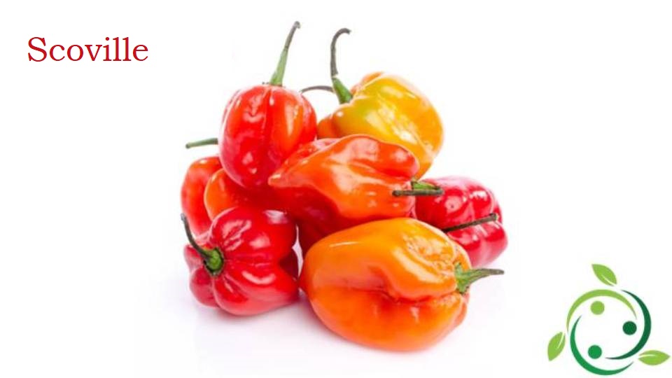 Scoville scale: determination, measurement, method, limits ...