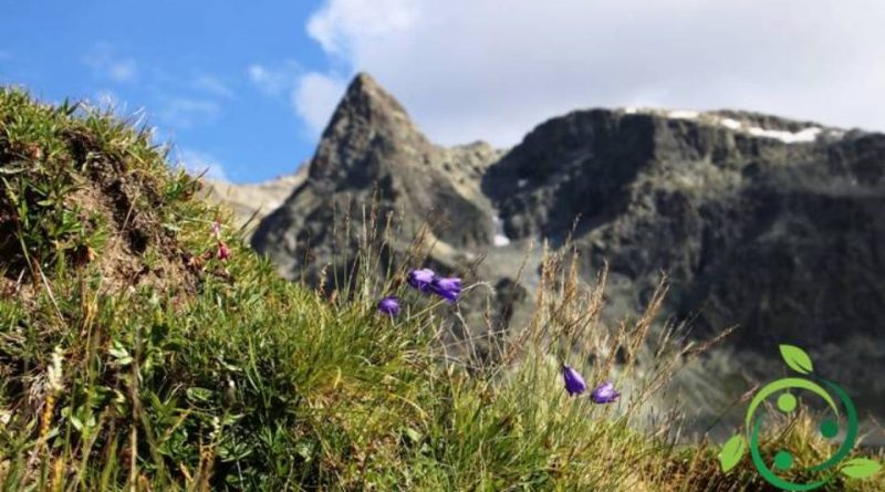 Acclimatization: meaning, adaptation process, physiology ...