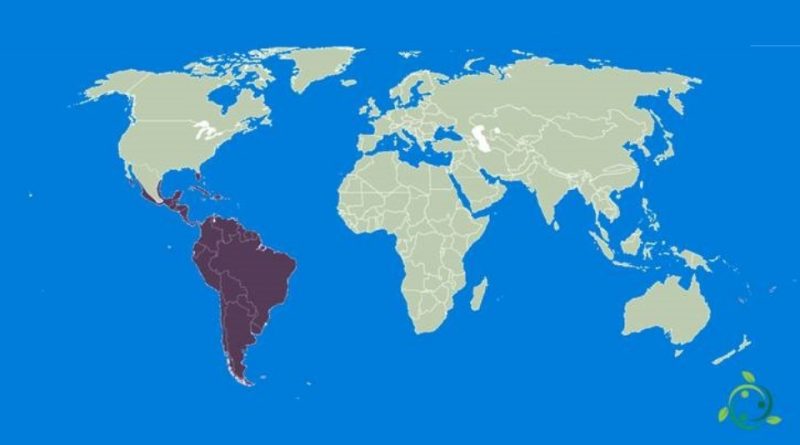 Neotropical ecozone: definition, extent, biomes ...