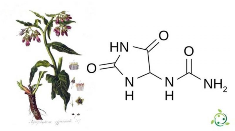 Allantoin: formula, occurrence in nature, properties, uses ...
