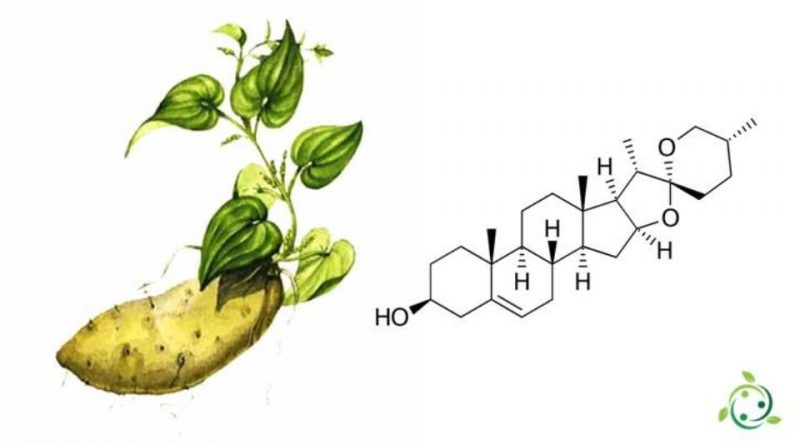 Propiedades y usos de la diosgenina Archivi - Un Mondo Ecosostenibile