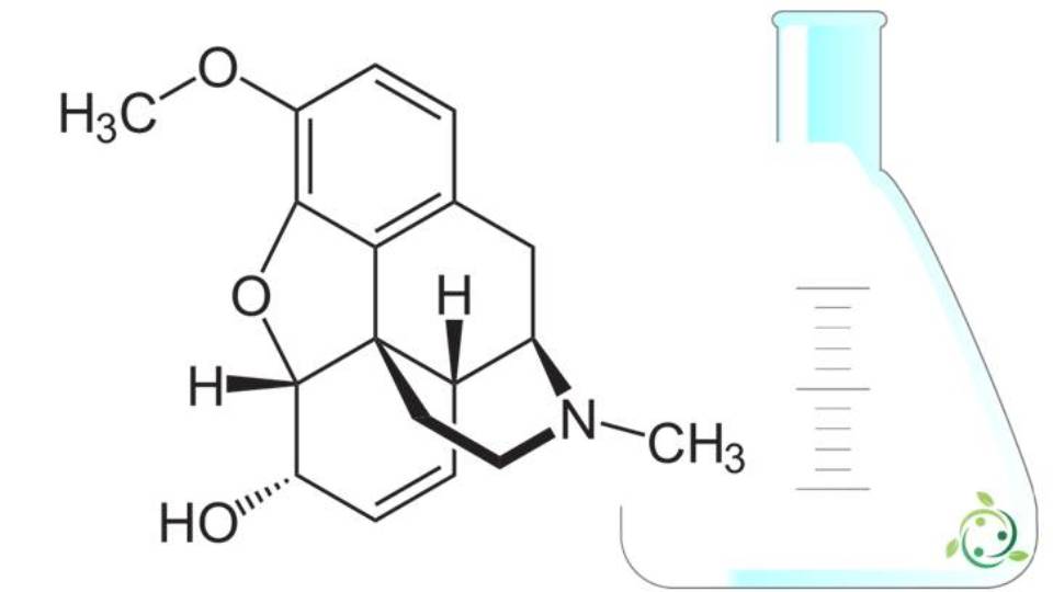 Codeine: formula, properties, mechanism of action, uses ...