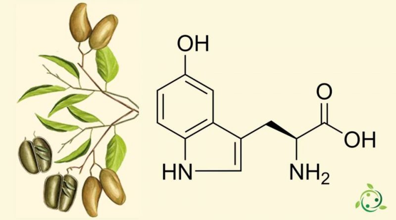 5-Hydroxytryptophan: chemical formula, occurrence in nature ...
