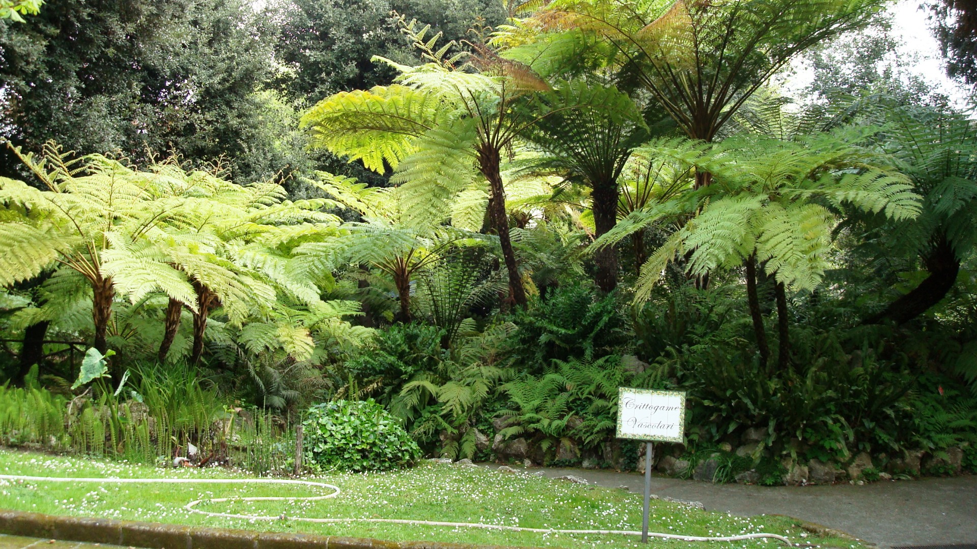 Naples Botanical Garden: Description, History, Structures ...