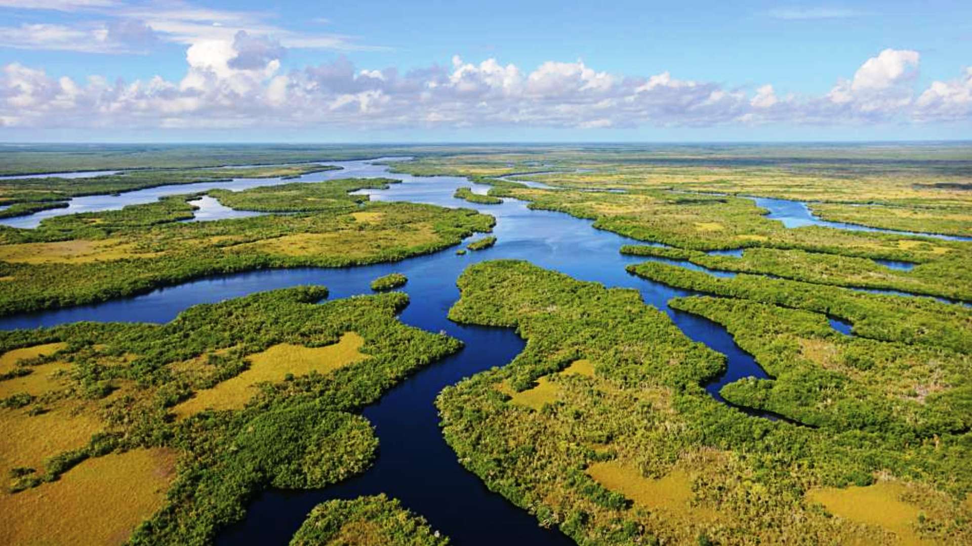Everglades National Park: history, geography, flora, fauna ...