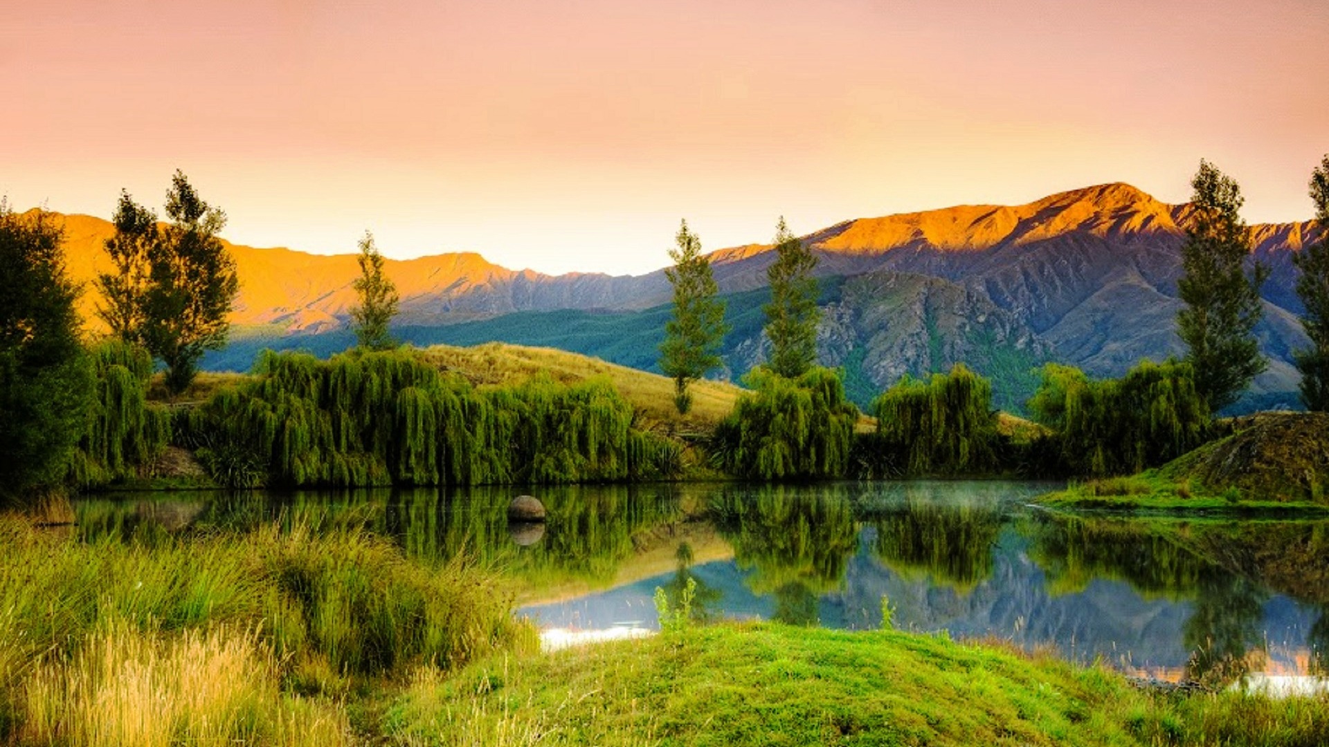 Clima templado húmedo: zonas, estaciones, temperaturas ...
