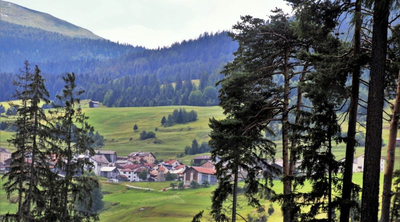 Ecotone: definition, meaning, characteristics, biodiversity ...