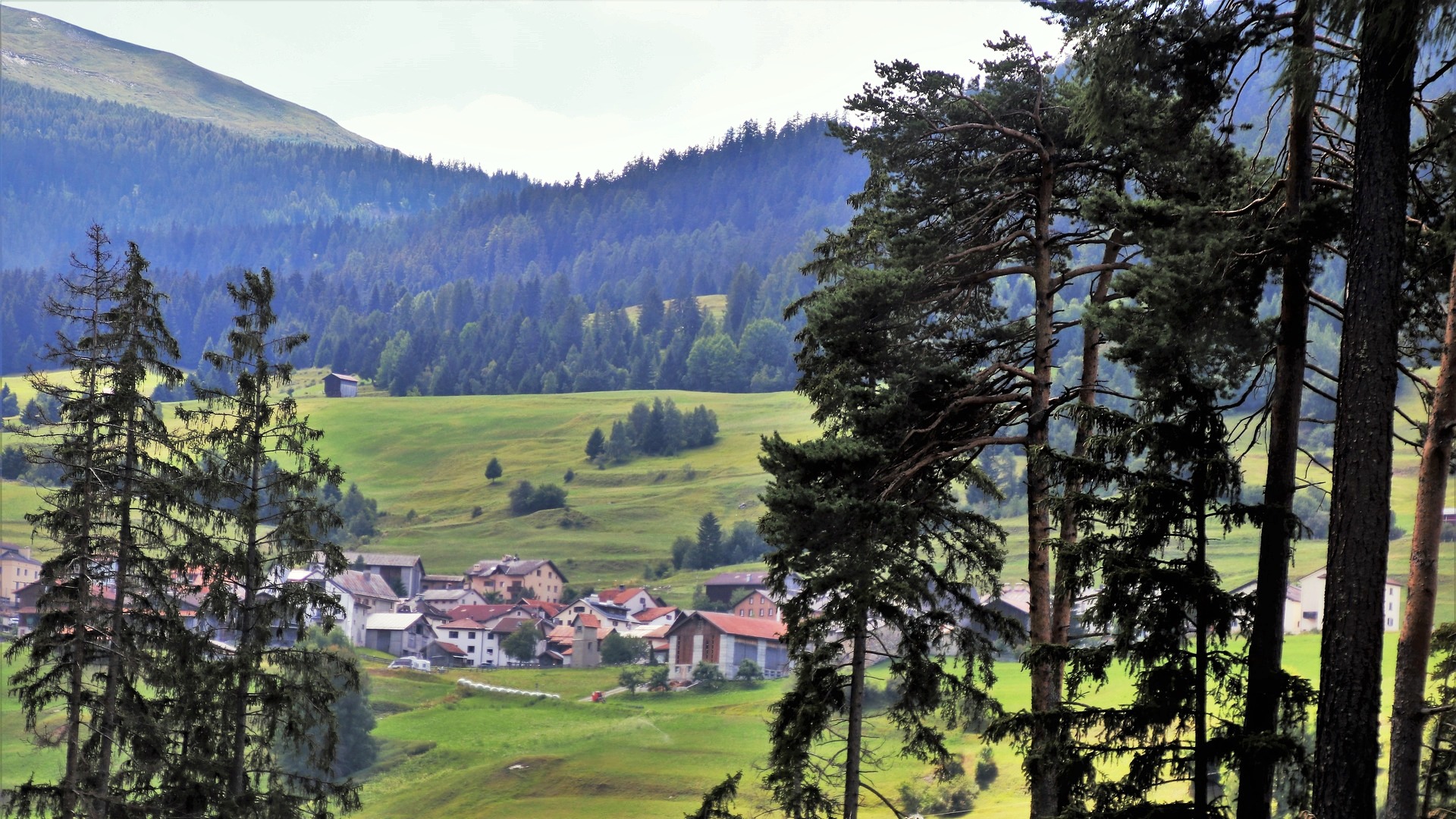 Ecotone: definition, meaning, characteristics, biodiversity ...